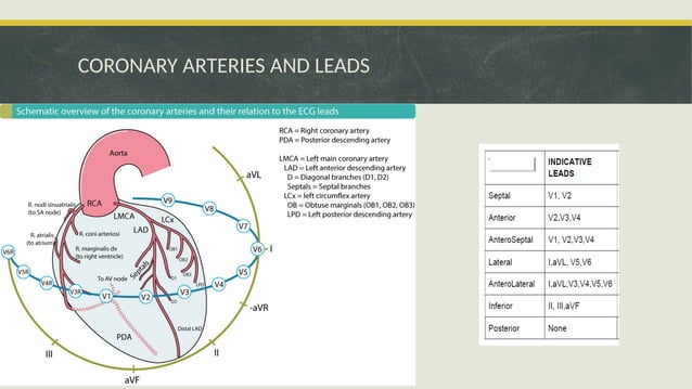 ECG basics and P wave changes and .pptx