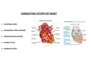 ECG basics by Dr.RISHI.pptx on studying the ecg | PPTX