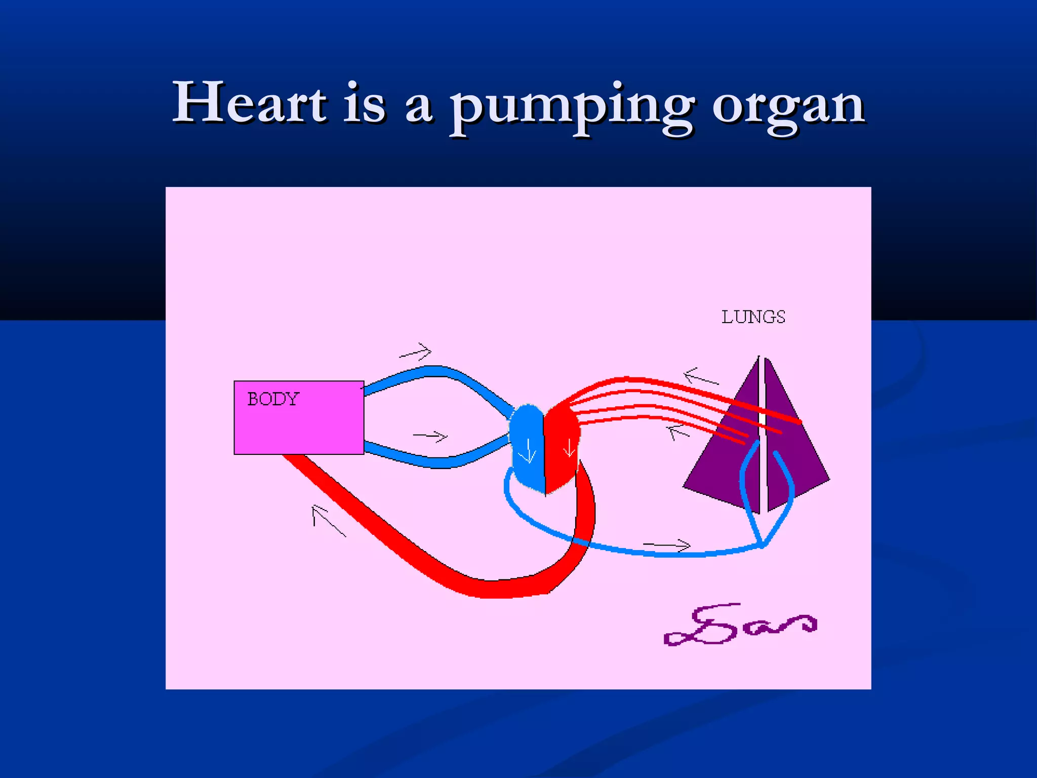 Ecg basics & cardicac physiology | PPT