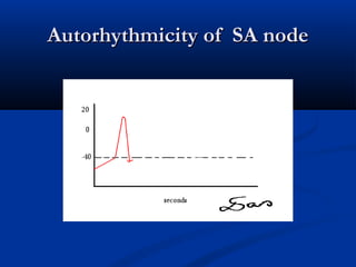 Ecg basics & cardicac physiology | PPT