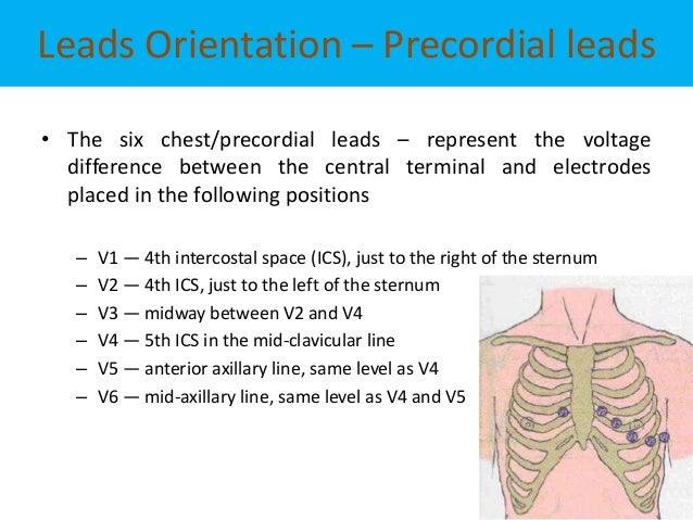 Electrocardiogaram - ECG EKG