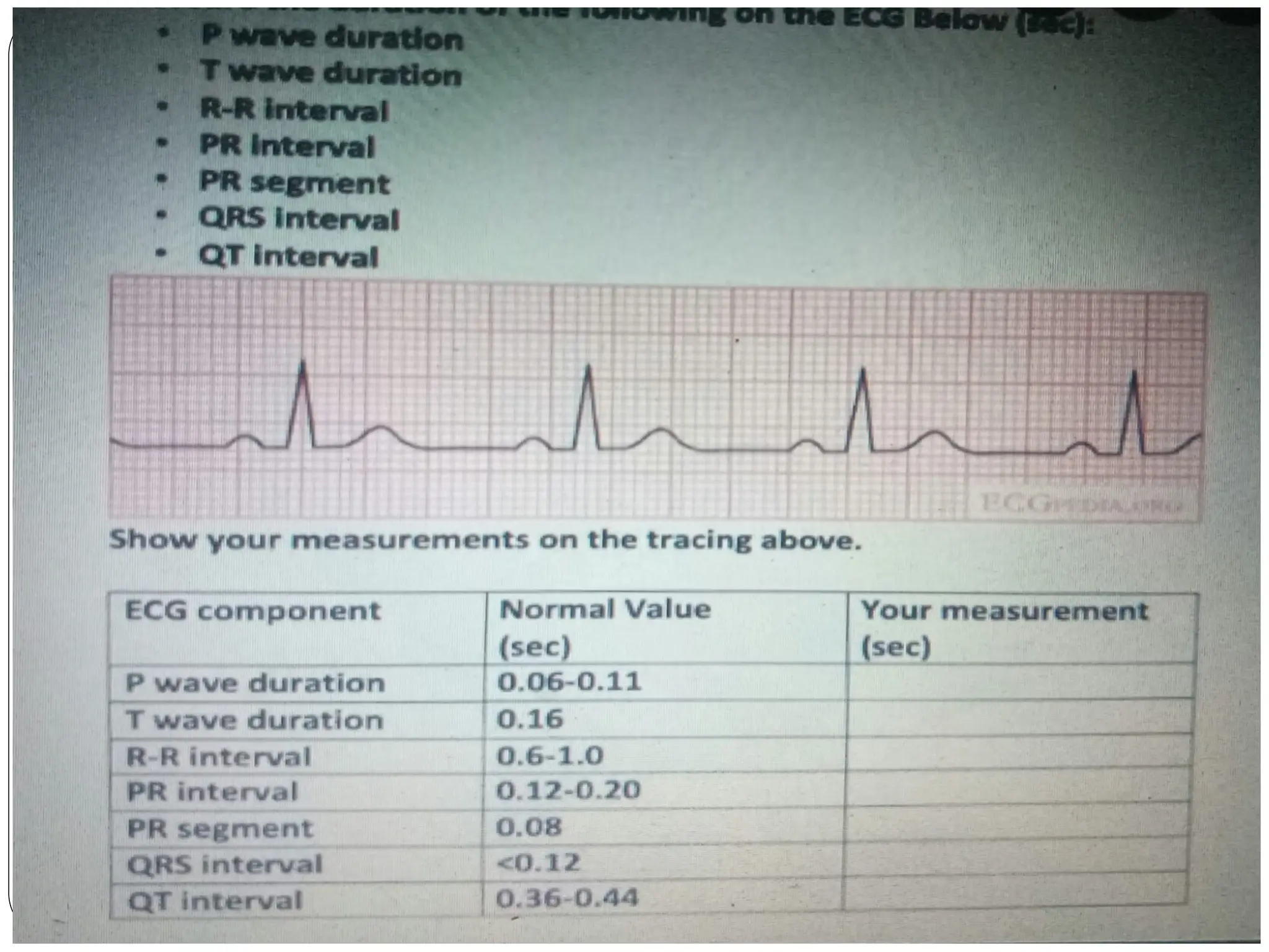 ECG BASICS physiology.ppt create by Muheeb | PPT