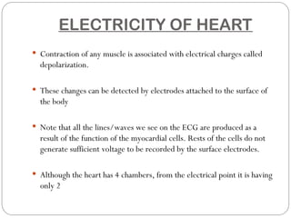 ECG BASICS physiology.ppt create by Muheeb | PPT