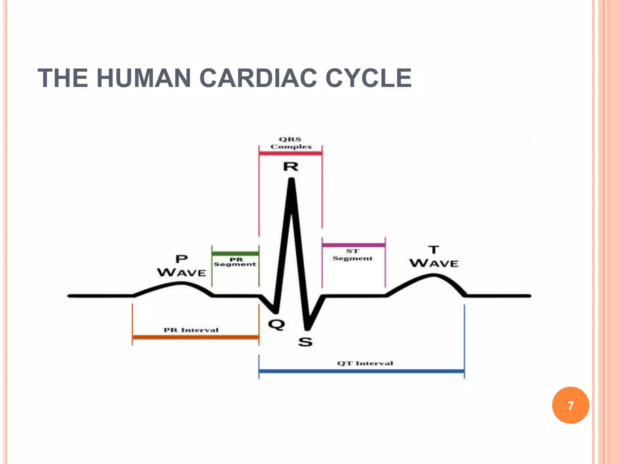 Ecg Beat Classification And Feature Extraction Using Artificial Neural