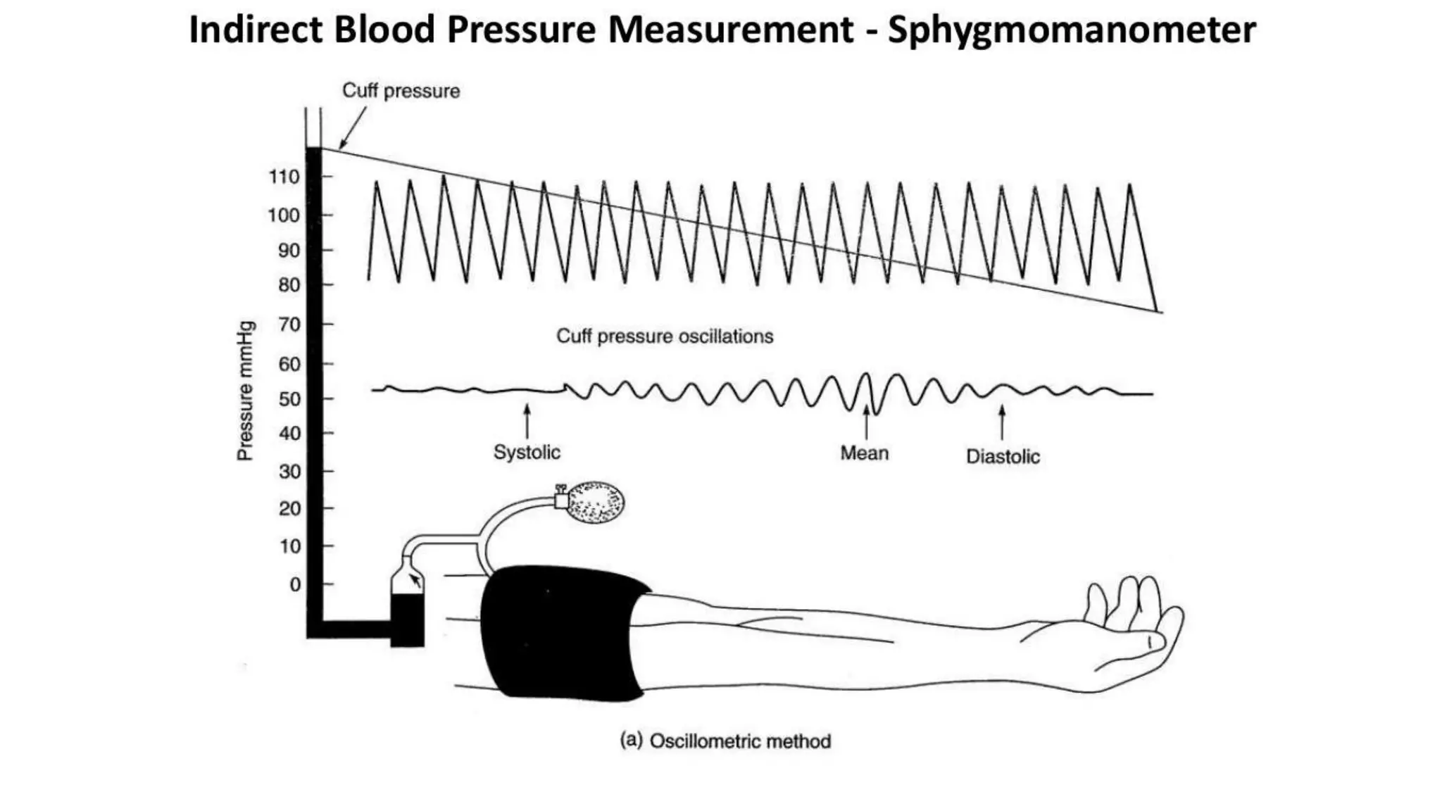 ECG & BP Measurement PPT | PPTX