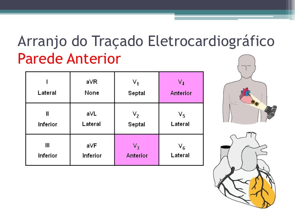 Ecg básico