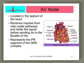 ECG Waveform Explained: EKG Labeled Diagrams And Components, 51% OFF