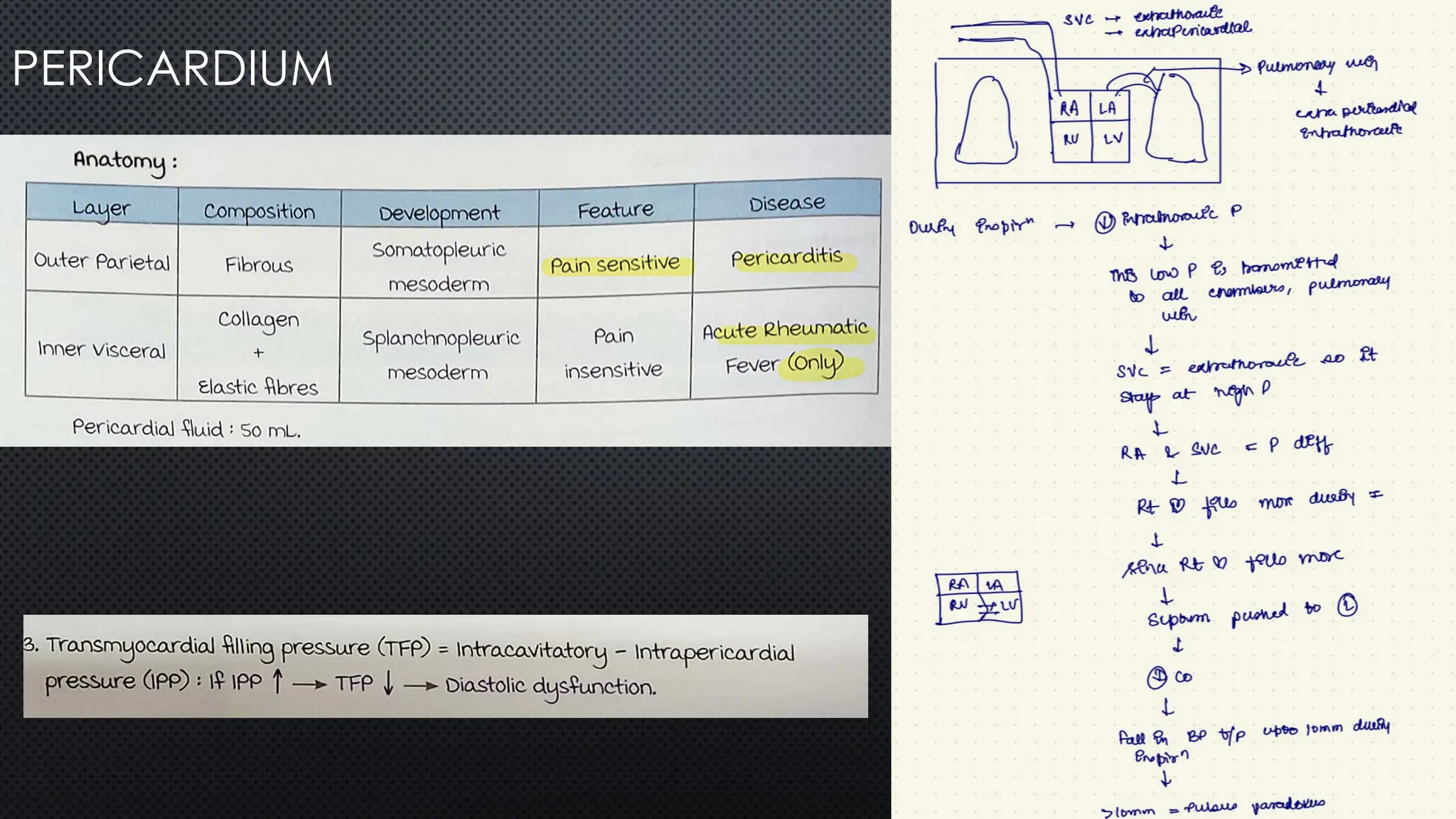 ecg changes in pericarditis and pleural effusion - Priyanshi Rastogi ...