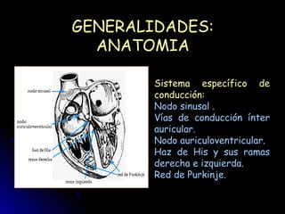 Ecg class | PPT