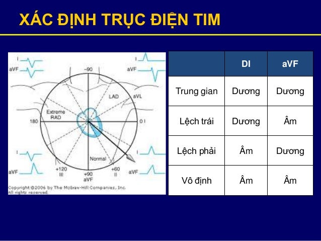 ECG CƠ BẢN