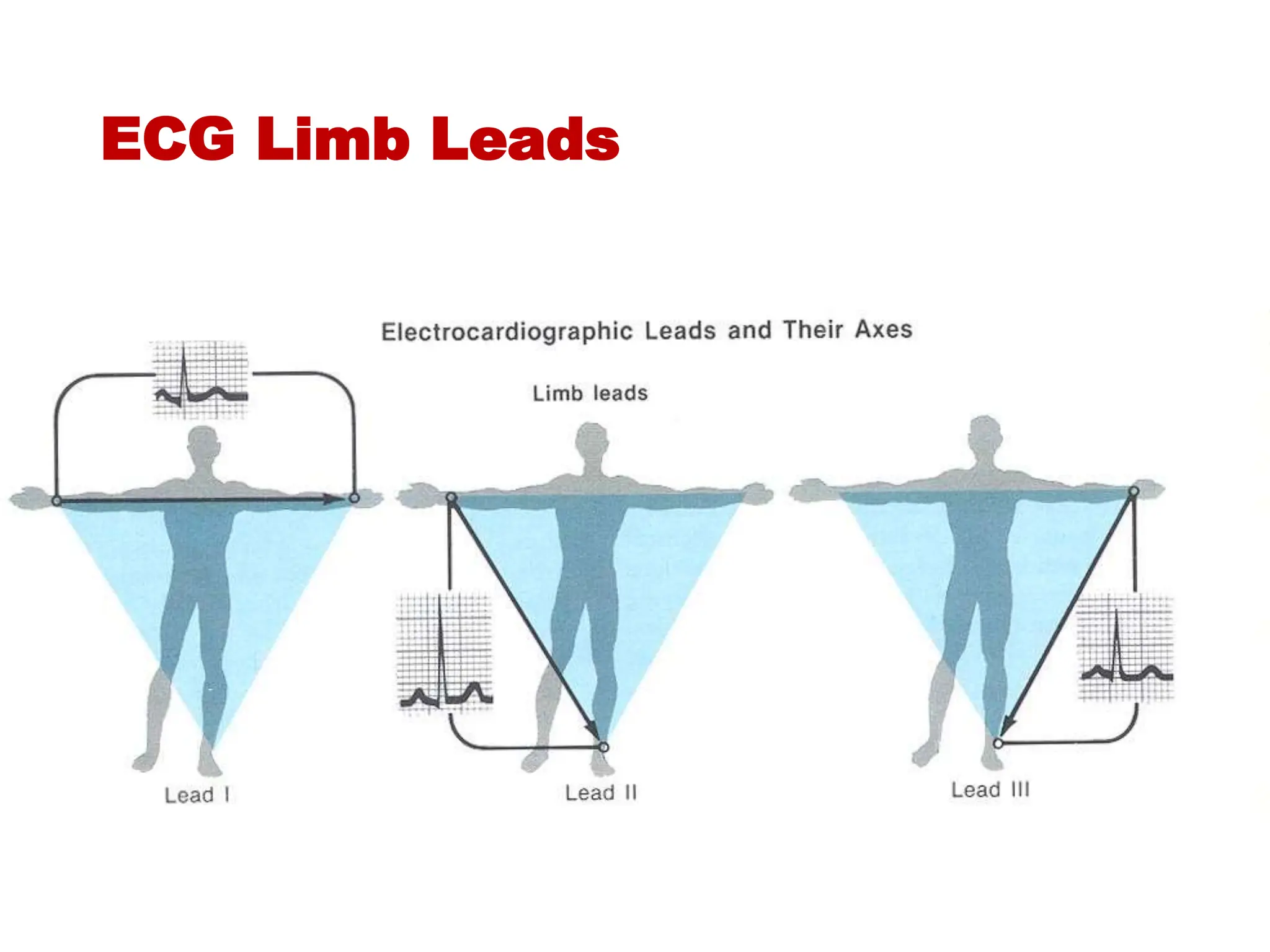 ECG complete lecture notes along with interpretation | PPTX