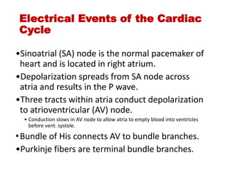 ECG complete lecture notes along with interpretation | PPTX