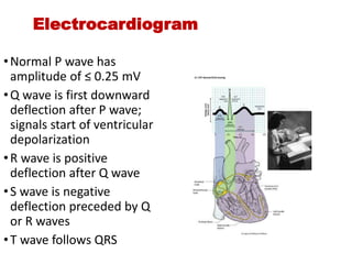 ECG complete lecture notes along with interpretation | PPTX
