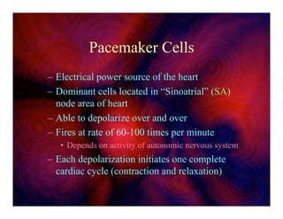 ecg_ecg_basics_presentation_compressed.pdf