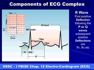 ECG FBISE HSSC-I Chap. 12 XI - Biology | PPT