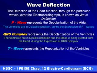 ECG FBISE HSSC-I Chap. 12 XI - Biology | PPT