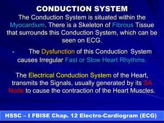 ECG FBISE HSSC-I Chap. 12 XI - Biology | PPT