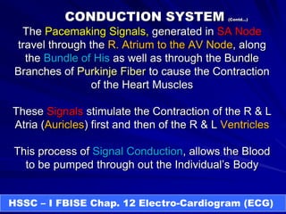 ECG FBISE HSSC-I Chap. 12 XI - Biology | PPT