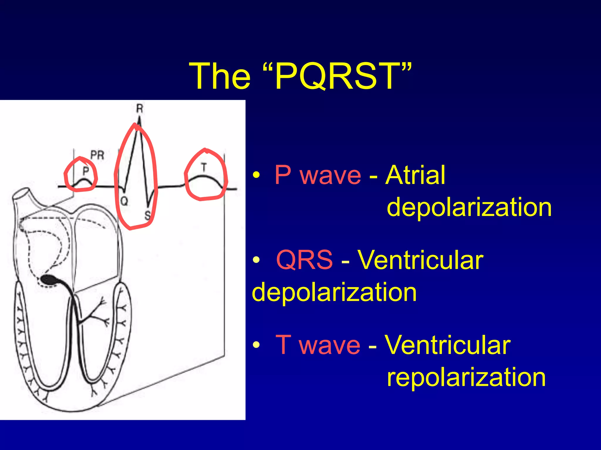 Ecg final the best | PPT