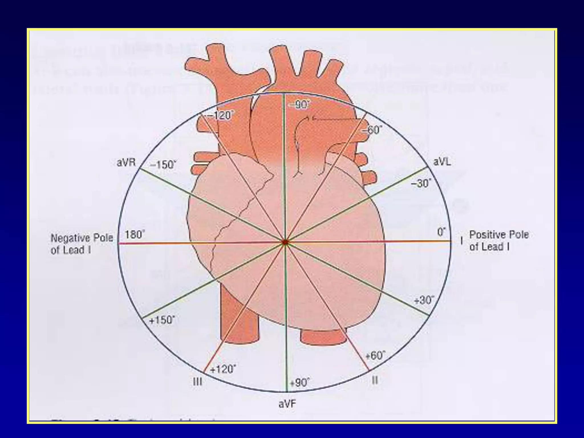 Ecg final the best | PPT