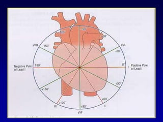 Ecg final the best | PPTX
