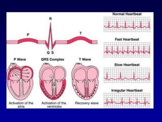 Ecg final the best | PPTX