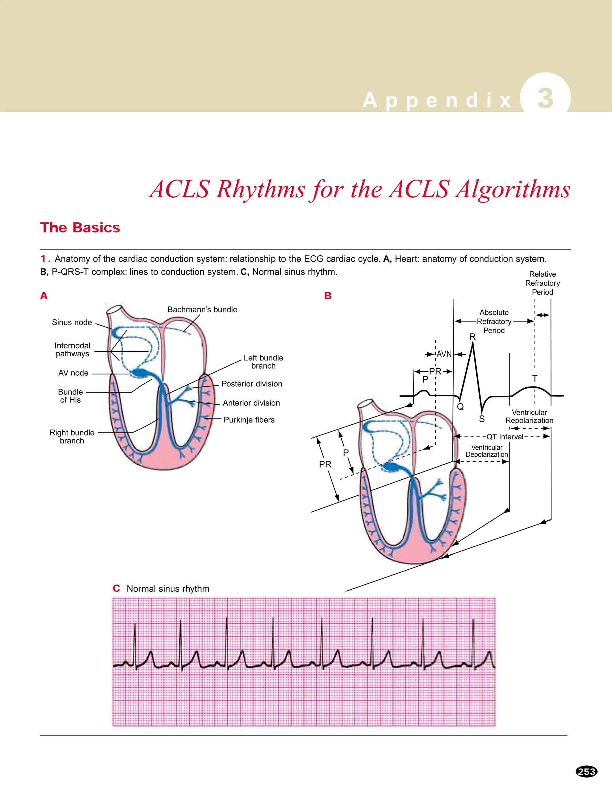 Ecg for acls | PDF