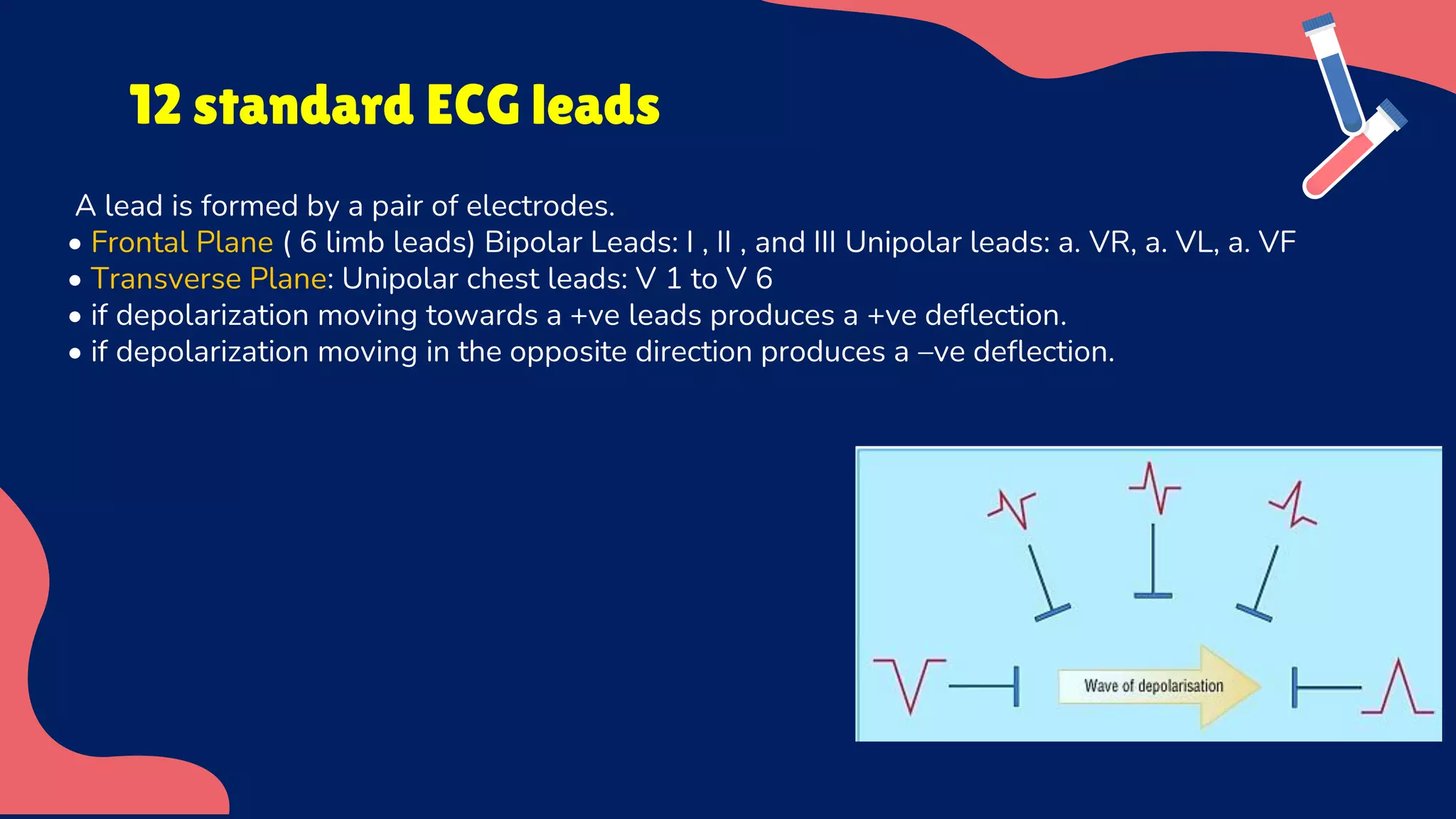 Ecg for candidate 2021 | PDF