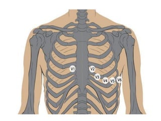 ECG details- for Students | PDF