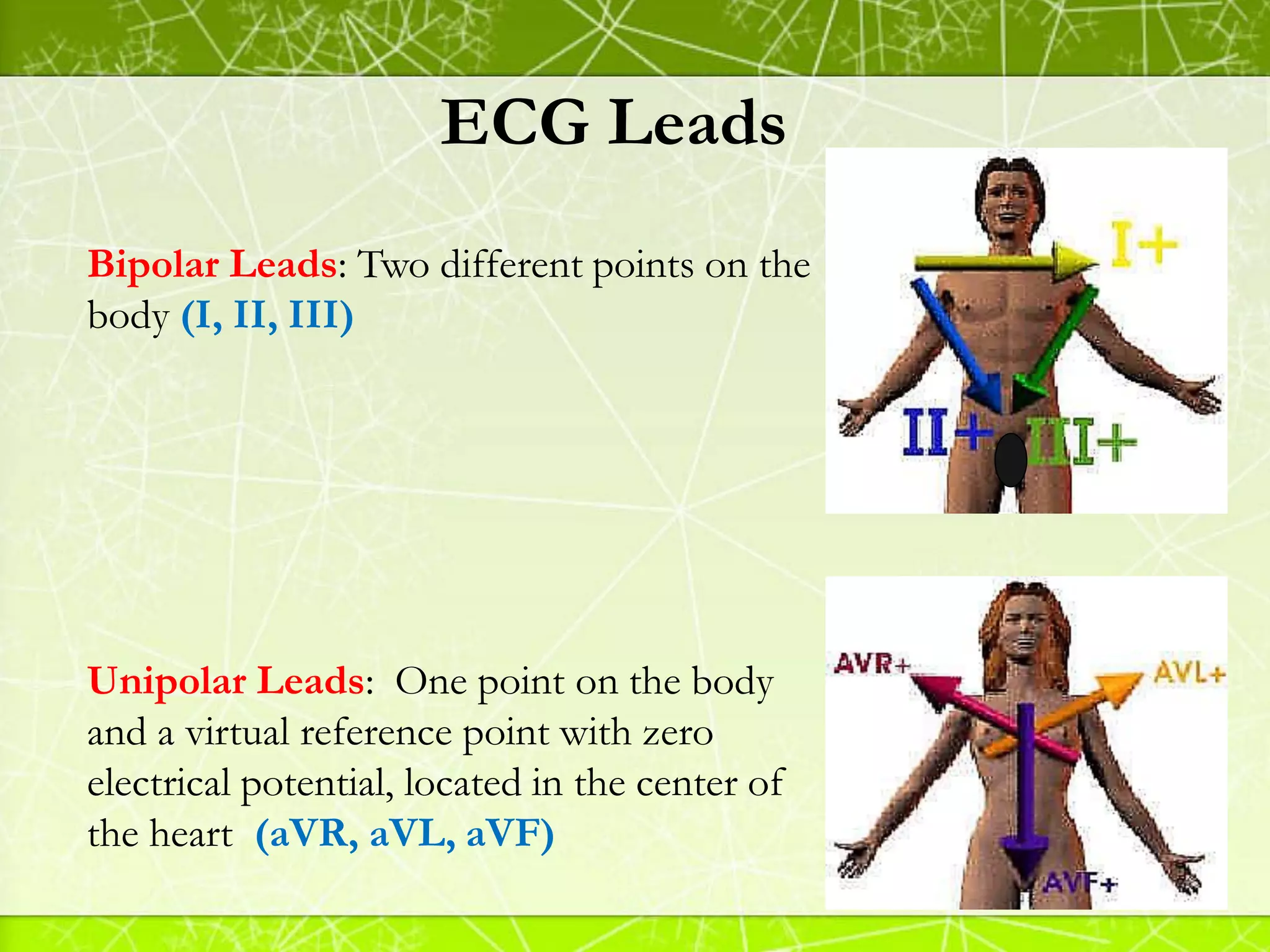 Ecg fundamentals | PDF