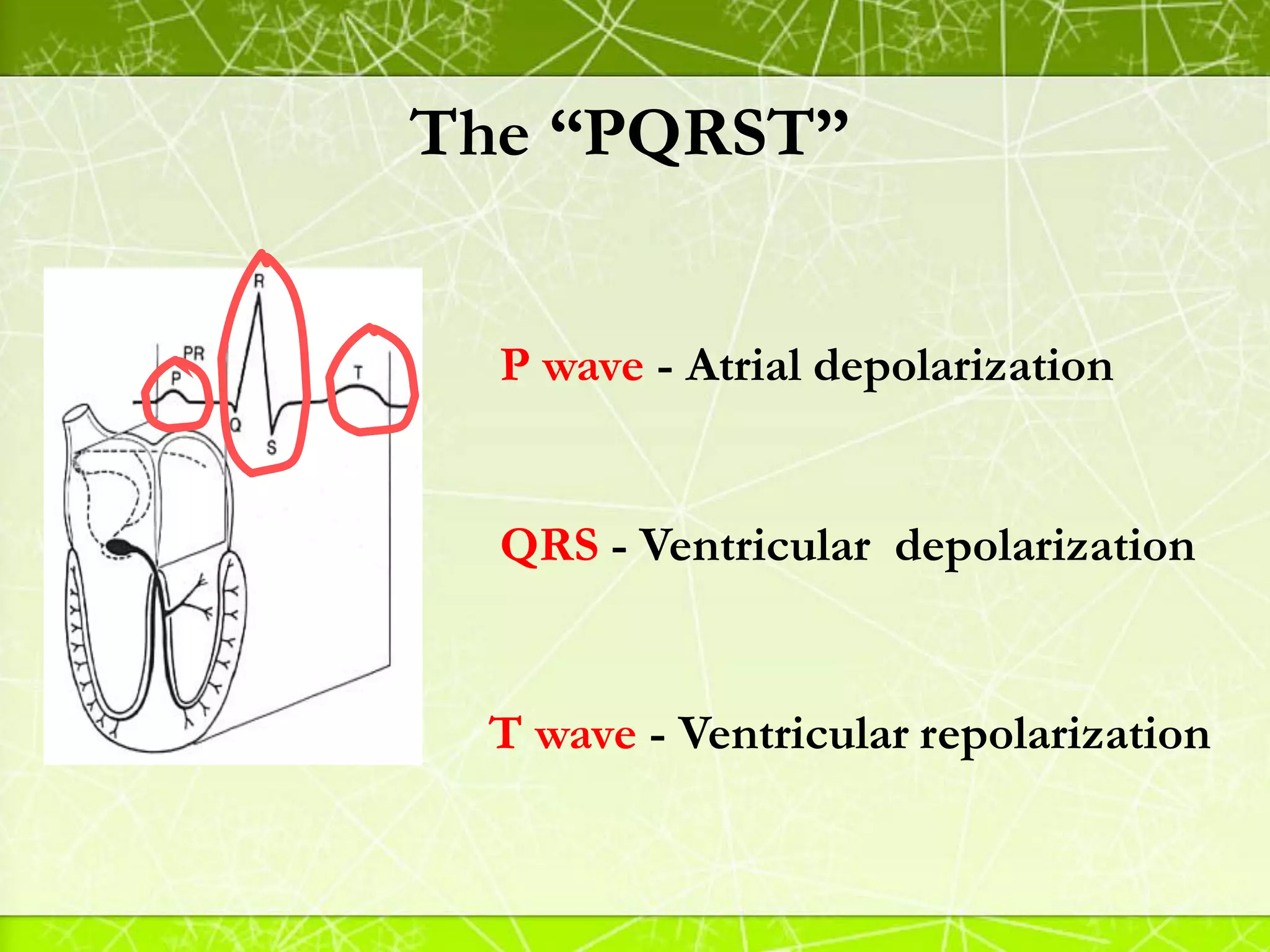 Ecg fundamentals | PDF