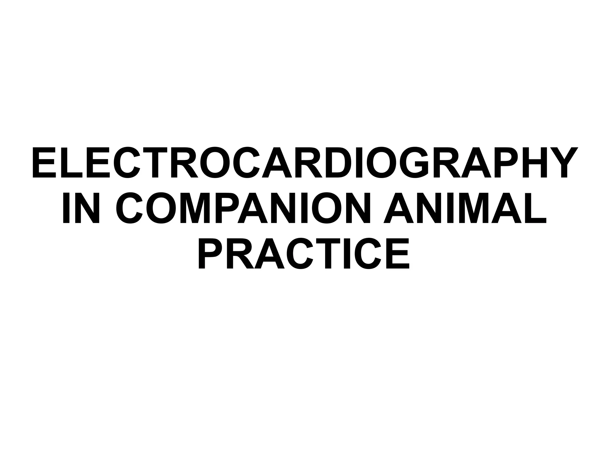 ECG in Companion Animal Practice | PPT