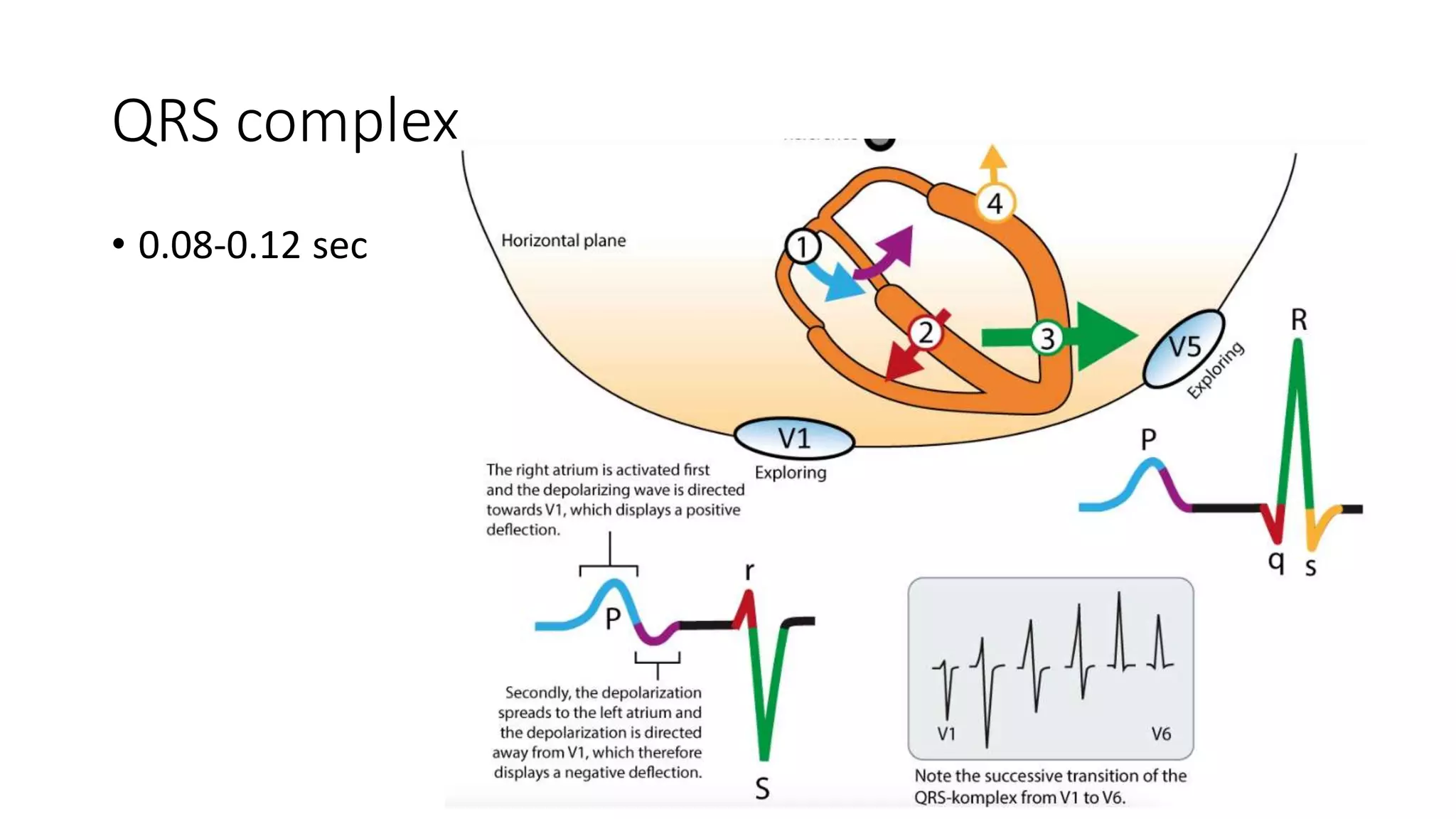 Ecg interpretation | PPT