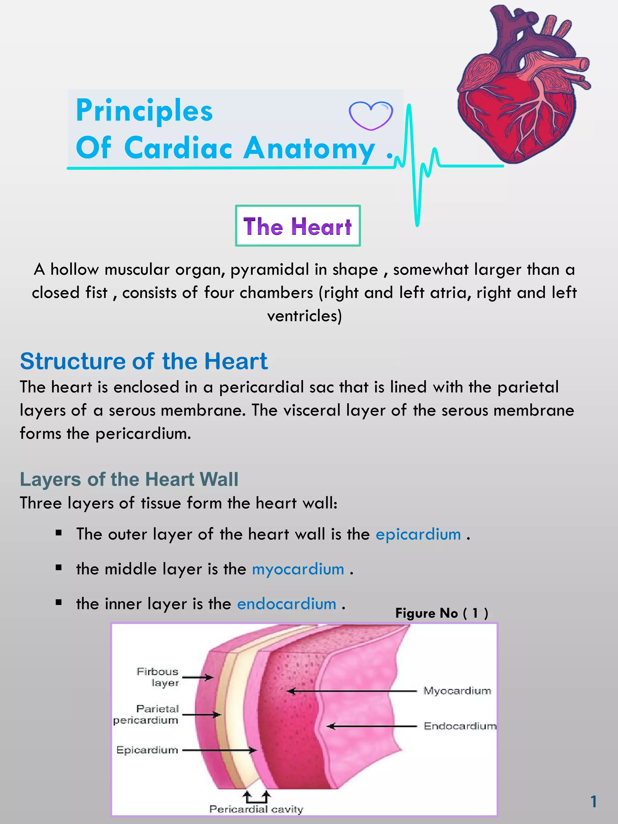 Ecg interpretation | PDF