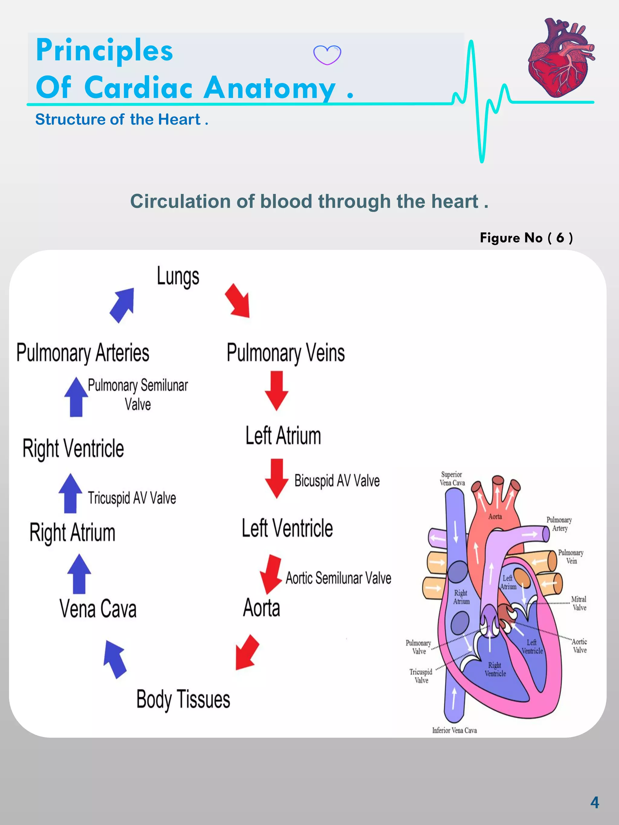 Ecg interpretation | PDF