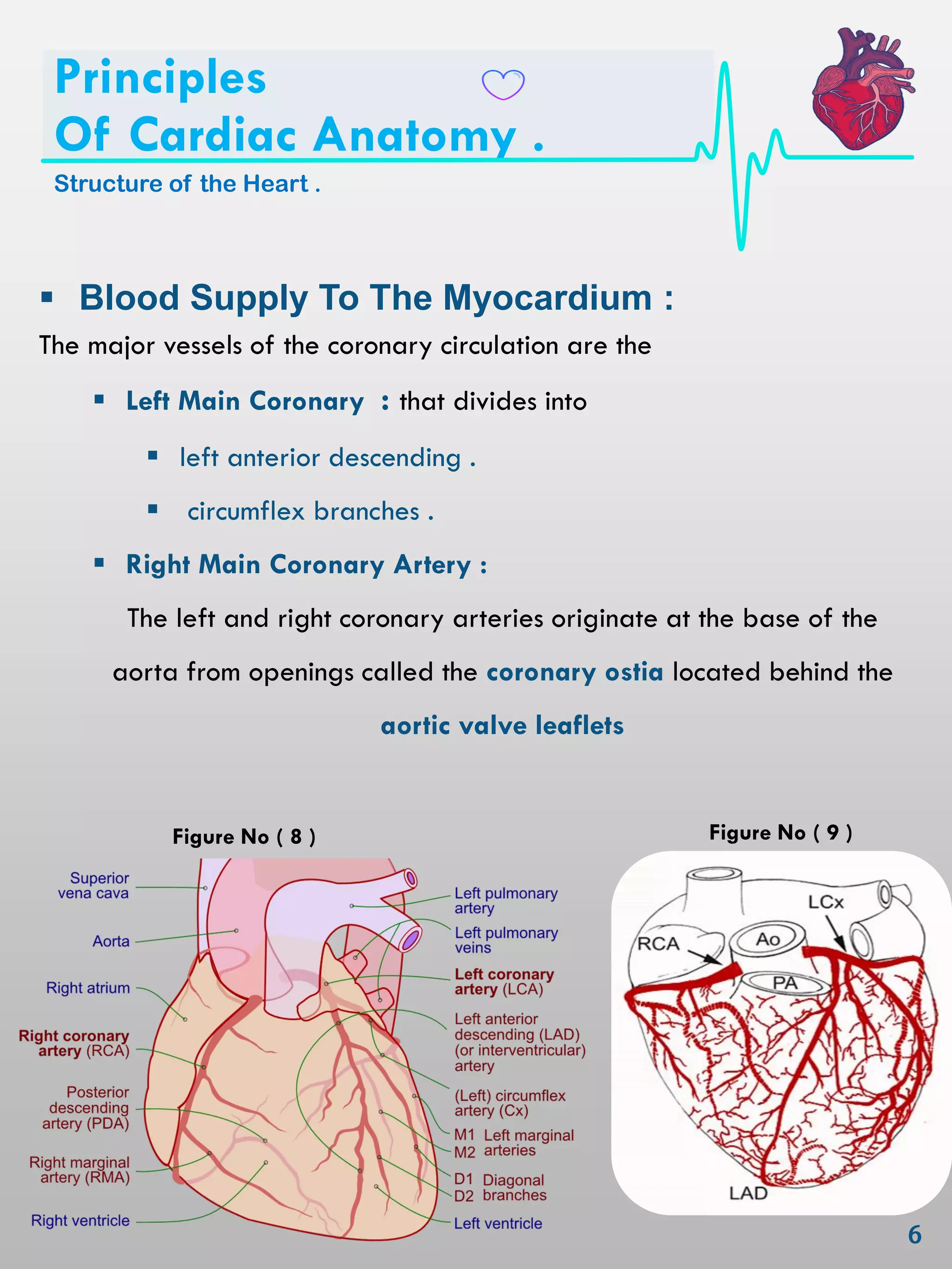 Ecg interpretation | PDF