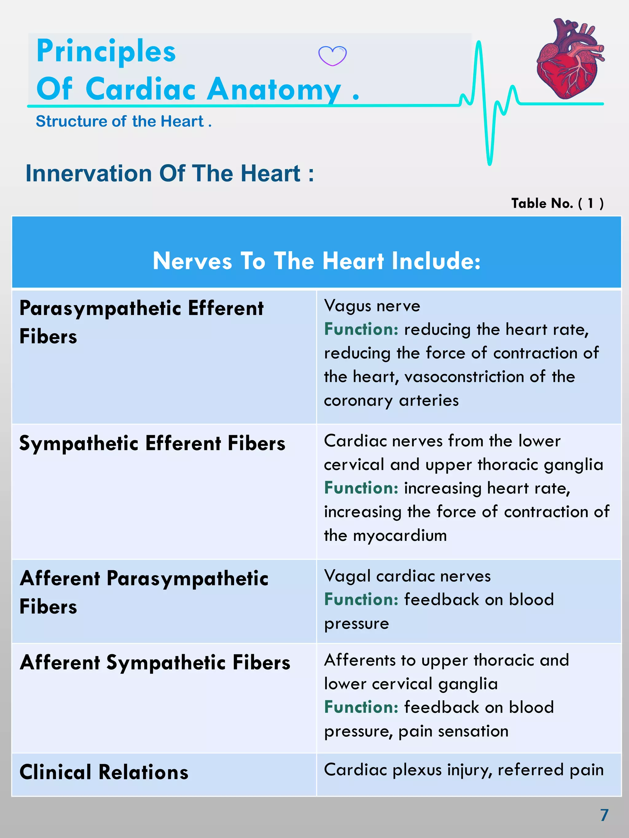Ecg interpretation | PDF