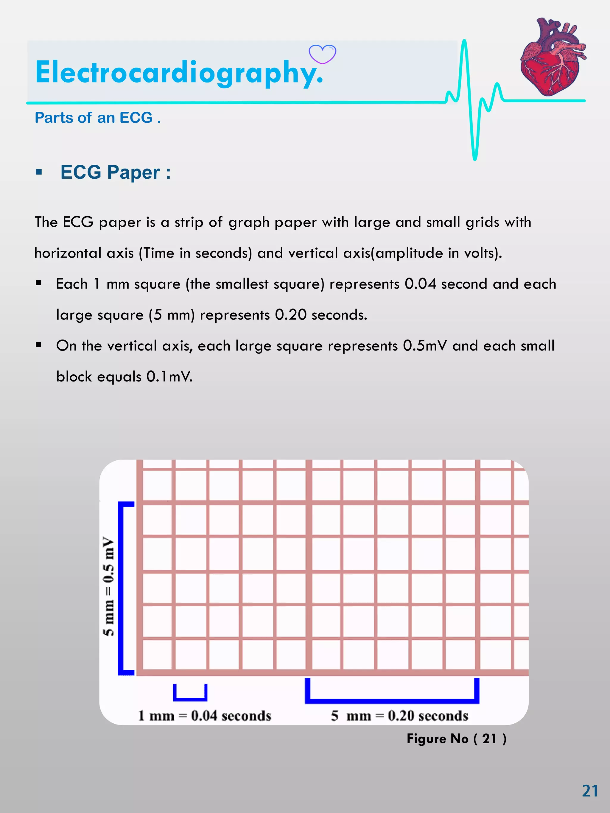 Ecg interpretation | PDF
