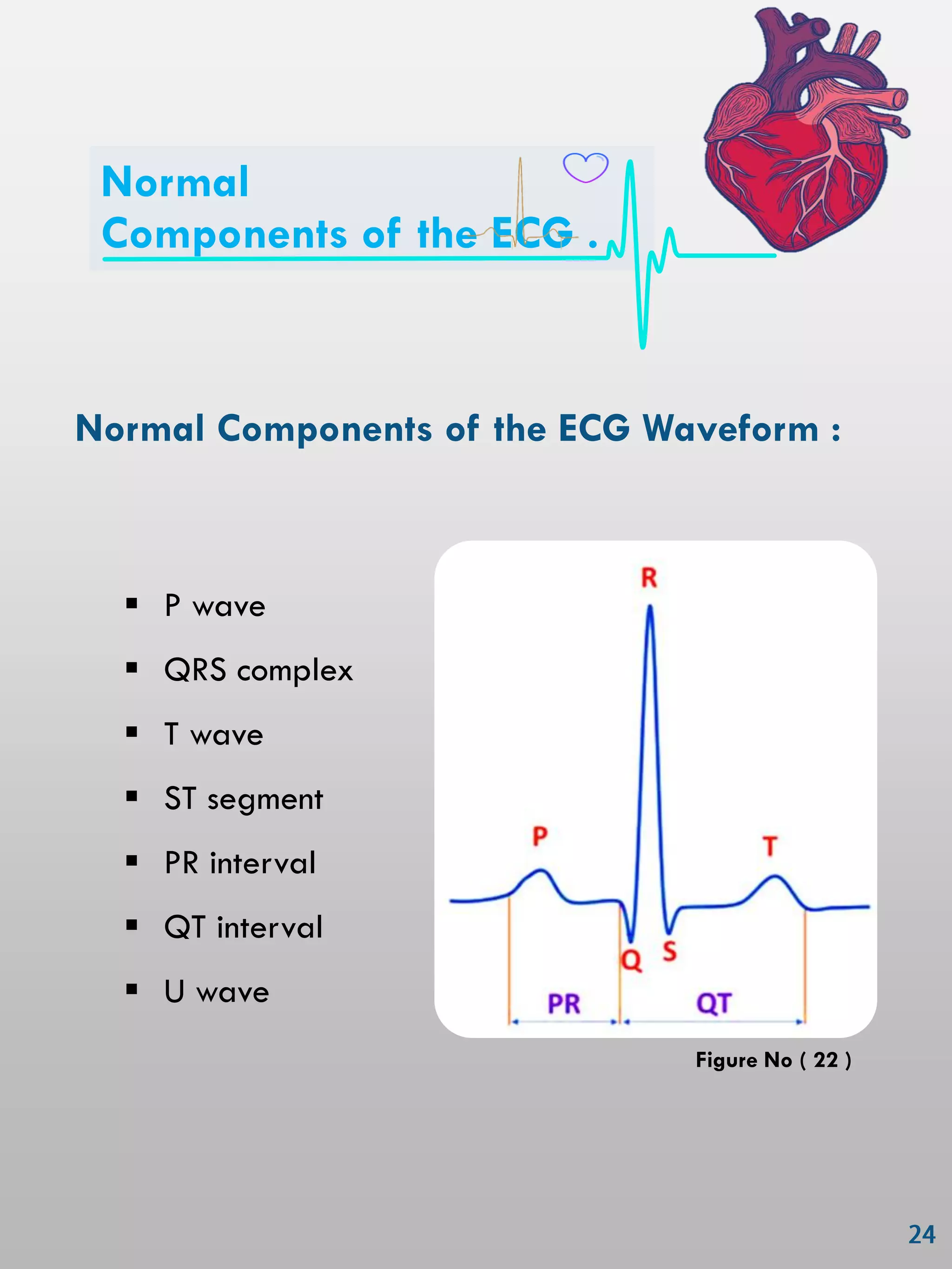 Ecg interpretation | PDF