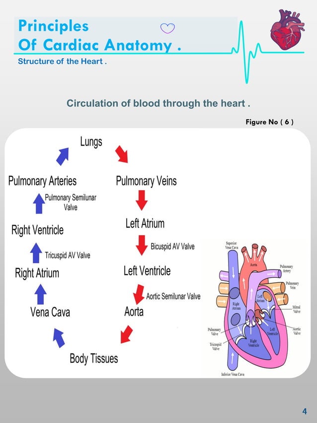 Ecg interpretation | PDF
