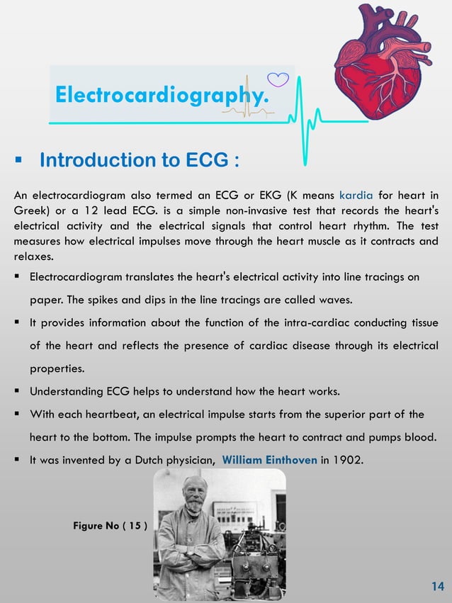 Ecg interpretation | PDF