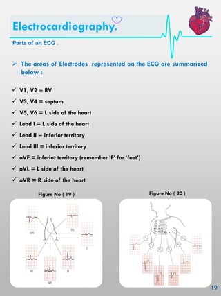 Ecg interpretation | PDF
