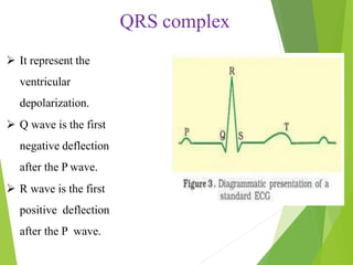 Ecg interpretation | PPTX | Heart and Cardiovascular Diseases ...