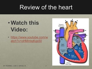 ECG Interpretation | PPTX