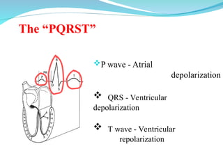 Electrocardiography (ECG)interpretation .ppt