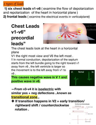 ECG interpret notes.pdf