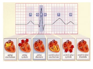 Ecg lead configuration | PDF
