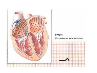 Ecg lead configuration | PDF
