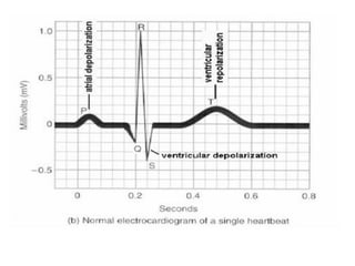 Ecg lead configuration | PDF