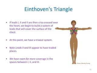 ecgleadsina12-leadecg-121216025516-phpapp02.pdf